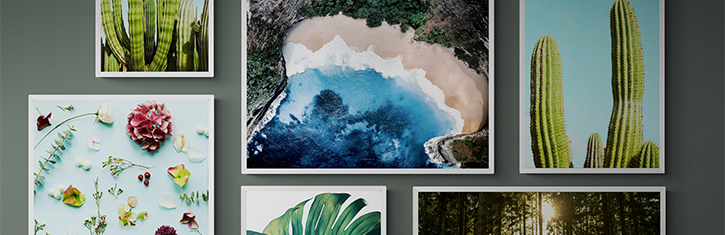 Natur - Illux Art shop - Illux.dk