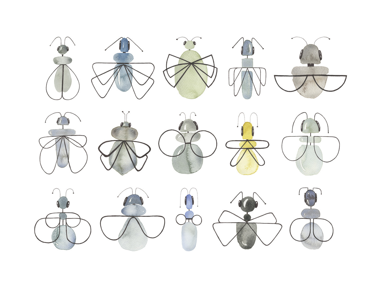 Insecta - Illux.dk